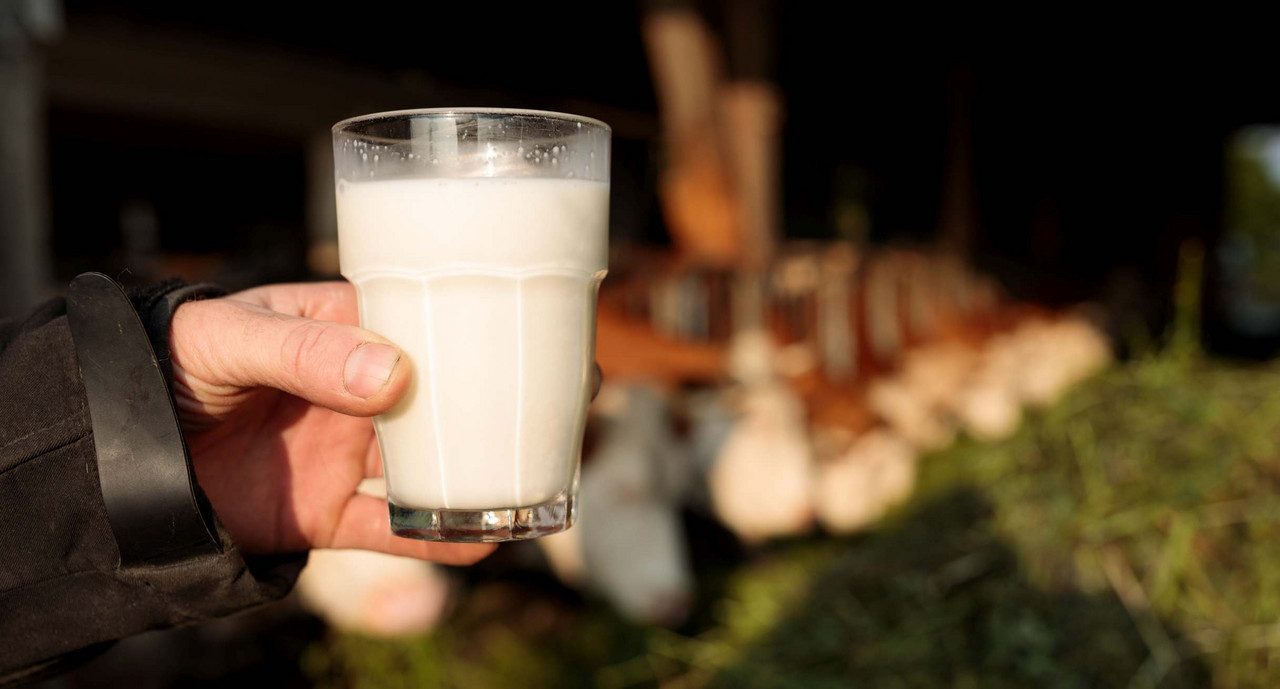 Weltbauerntag und Internationaler Tag der Milch: Baden-Württemberg.de